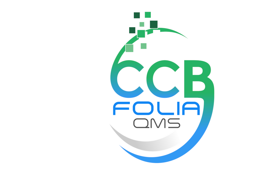 CCB IT ccb-it